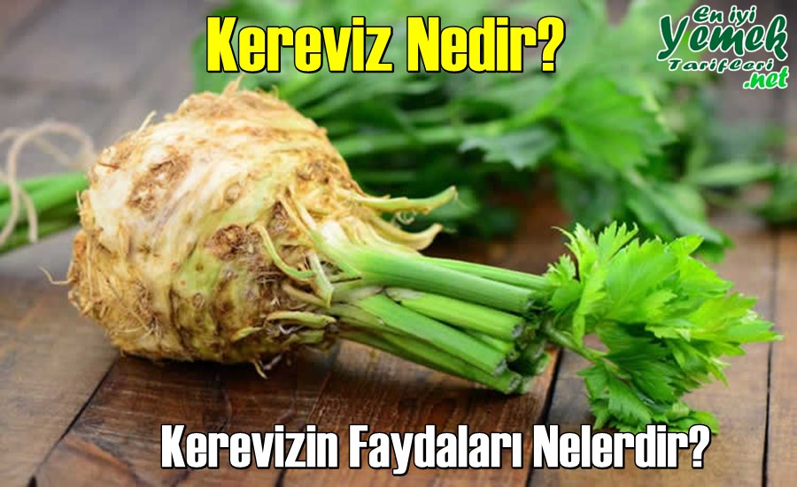 Kereviz Nedir? Kerevizin Faydaları Nelerdir? Kereviz Nasıl Tüketilmeli ...